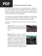 Suelos Fluvisoles: Importancia y Uso | PDF | Suelo | Riego