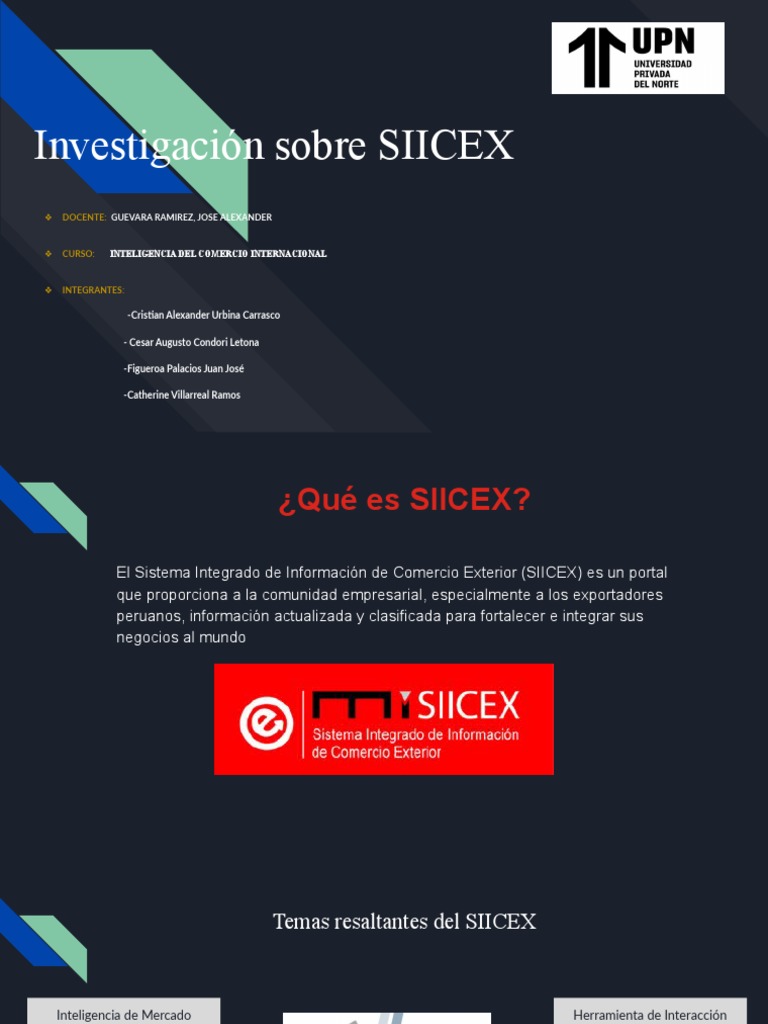 SIICEX | PDF