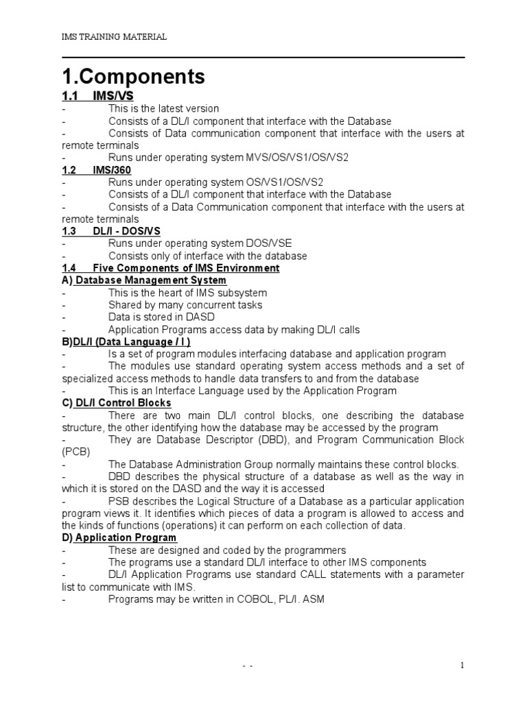 1.1 Ims/Vs | PDF | Programming | Computer Program