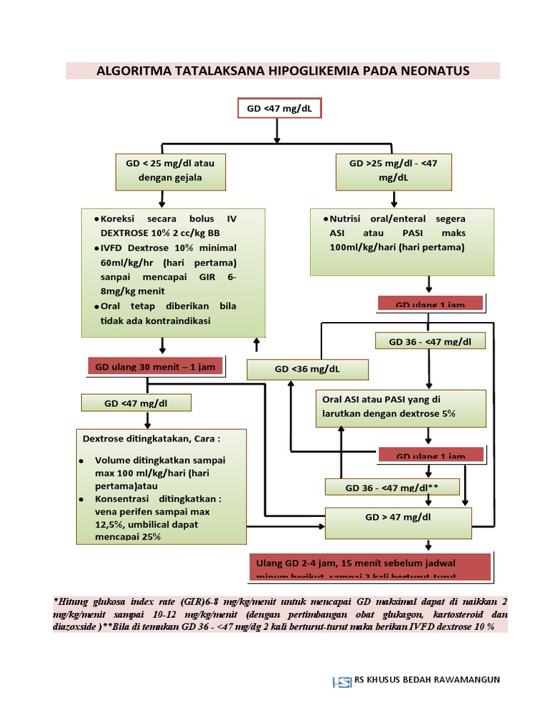 Algoritma Hipoglikemia | PDF