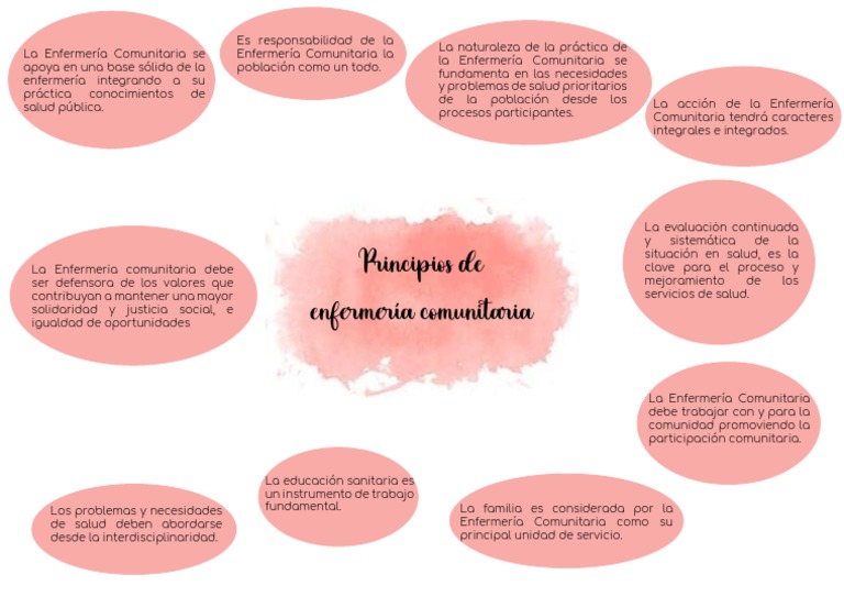 Mapa Conceptual, Principios de Enf Comunitaria | PDF | Enfermería