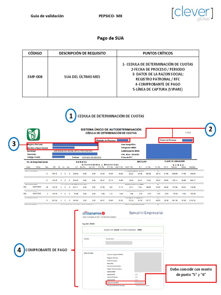 Guia Pepsico MX - Sua | PDF