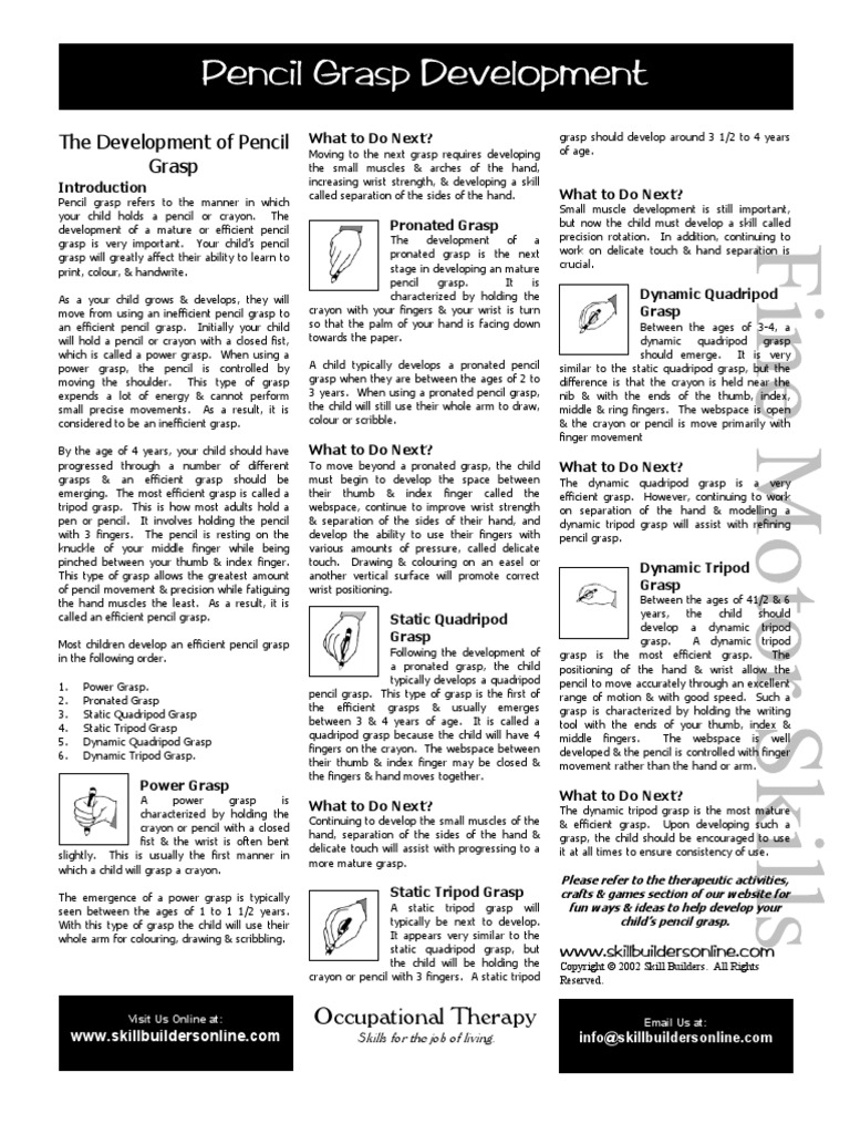 Pencil Grasp Development | PDF | Hand | Anatomical Terms Of Motion