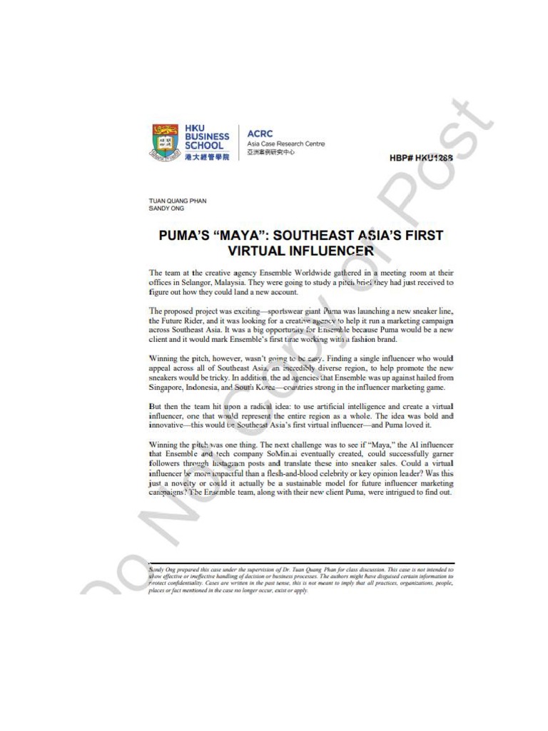 Puma's Maya | PDF