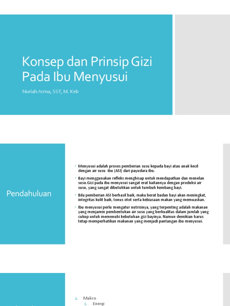 Konsep Dan Prinsip Gizi Pada Ibu Menyusui | PDF | Gaya Hidup