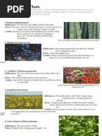 LSU-Ag Planting Guide | PDF | Vegetables | Fertilizer