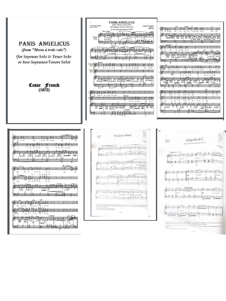 Piano Lessons | PDF