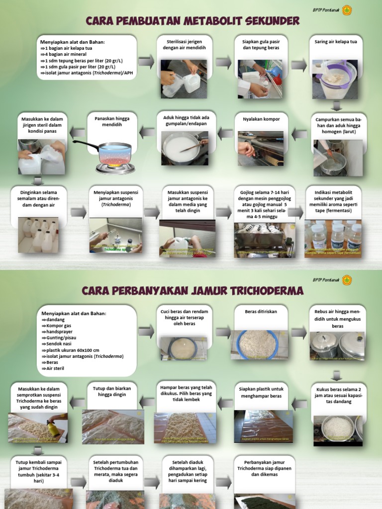Bagan Alir Perbanyakan Trichoderma | PDF