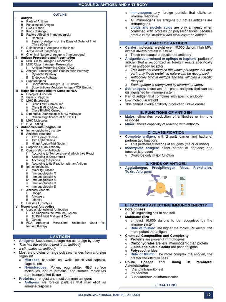 ImmunoSeroLec M2 | PDF | Antibody | Antigen