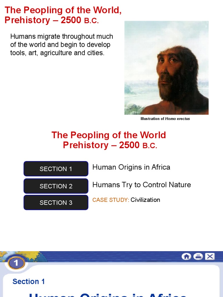 1.1 Human Origins in Africa | PDF | Homo | Stone Age