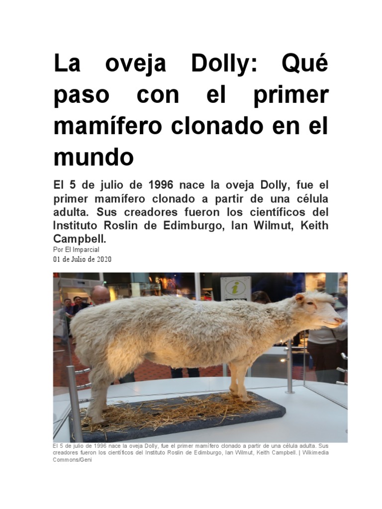 La historia de Dolly, la primera oveja clonada: su nacimiento, logros ...