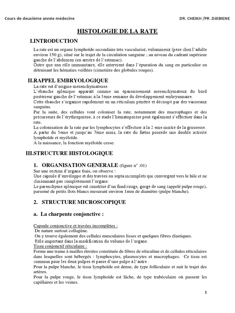 Histologie et fonctions de la rate | PDF | Rate | Système circulatoire