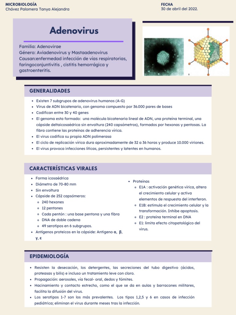 Adenovirus | PDF | Adenoviridae | Virus
