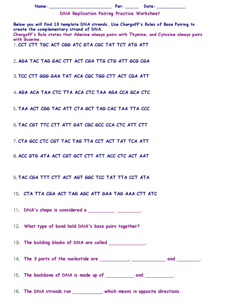 DNA Pairing Practice Worksheet | PDF