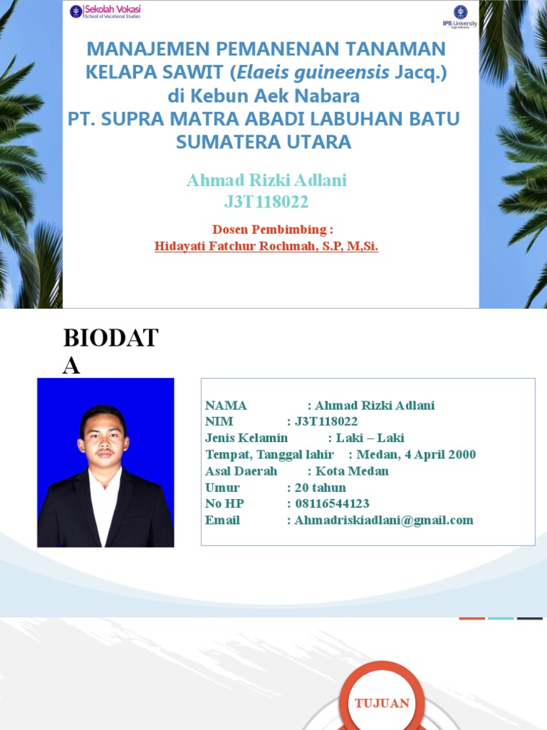 Kolokium Ahmad Rizki Adlani Manajemen Pemanenan Kelapa Sawit | PDF