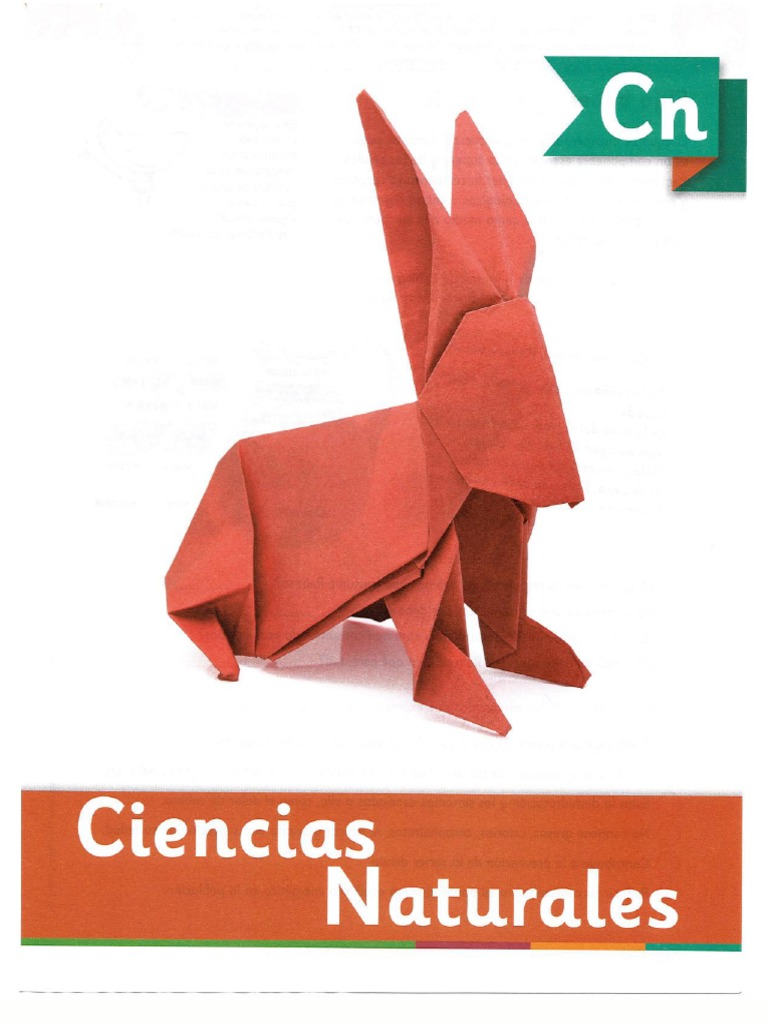 Guia Lab 6 Grado C.N | PDF