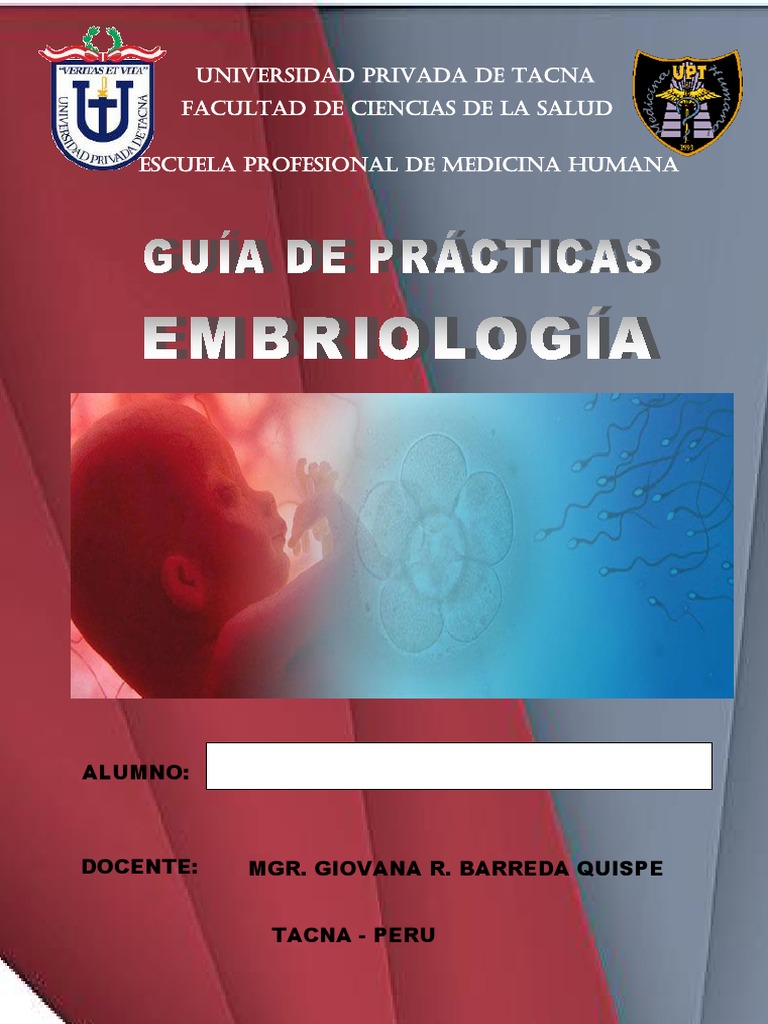 Guia de Embrio Medicina Humana | PDF | Placenta | El embarazo
