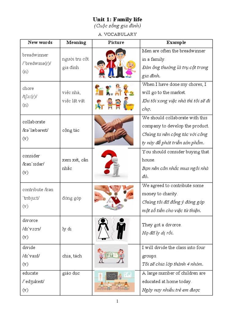 Unit 1: Family Life: New Words Meaning Picture Example | PDF