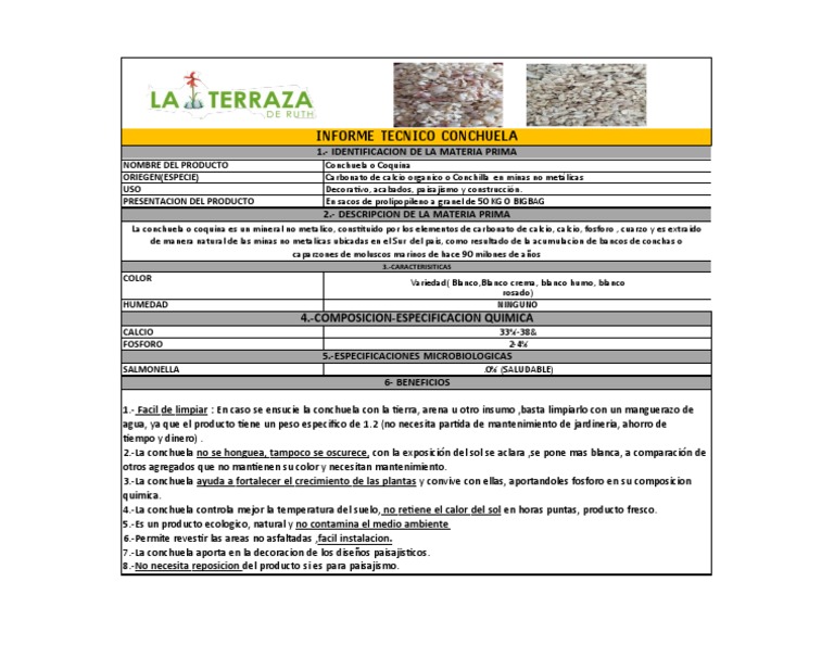 Conchuela: Uso y Beneficios Decorativos | PDF | Naturaleza | Materiales