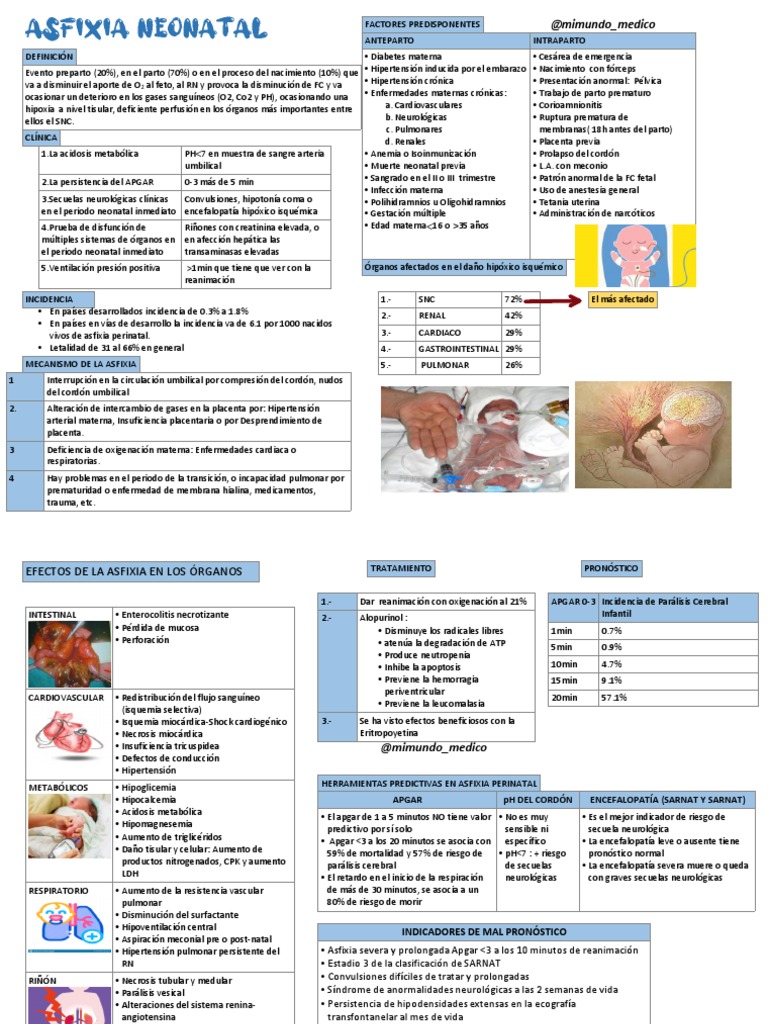 Asfixia Neonatal | PDF | Parto | Isquemia