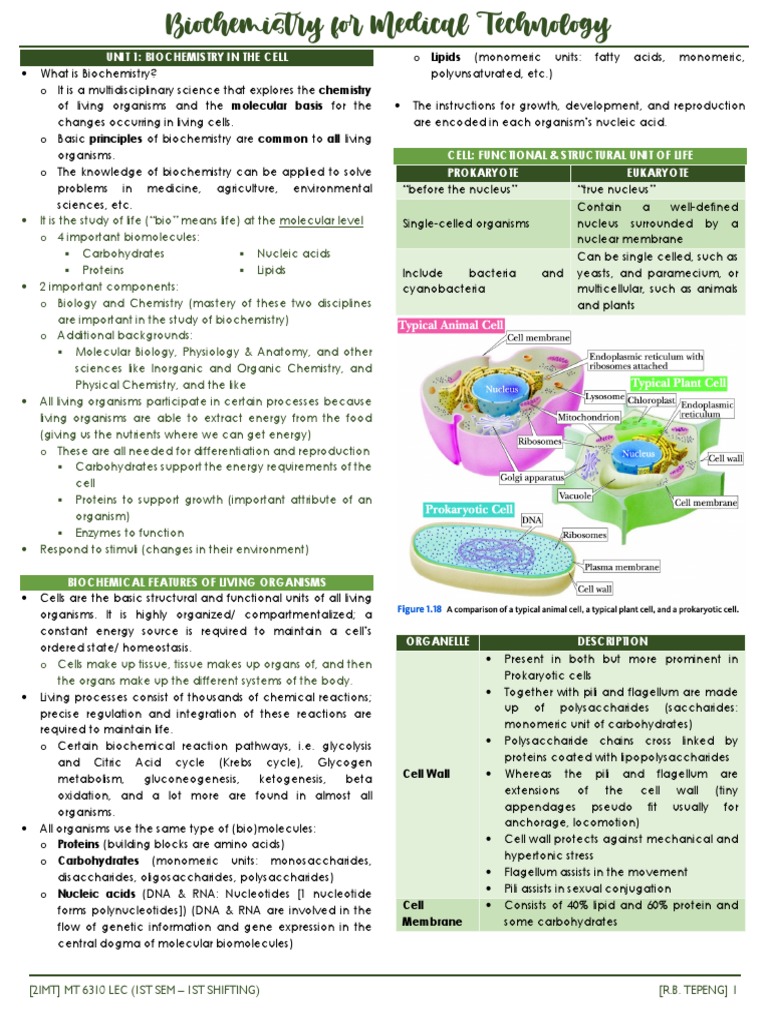 Biochemistry Lec 1st Shift | PDF | Cell (Biology) | Denaturation ...