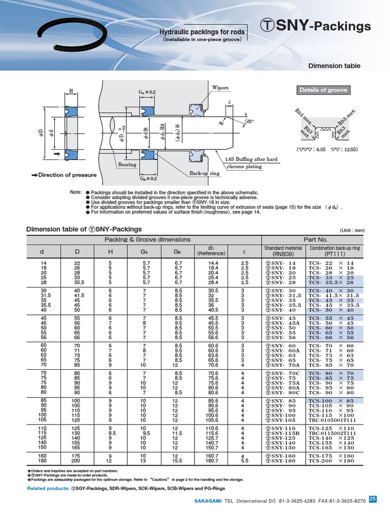 Sakagami-T-SNY-Packing | PDF | Industrial Processes | Manufactured Goods