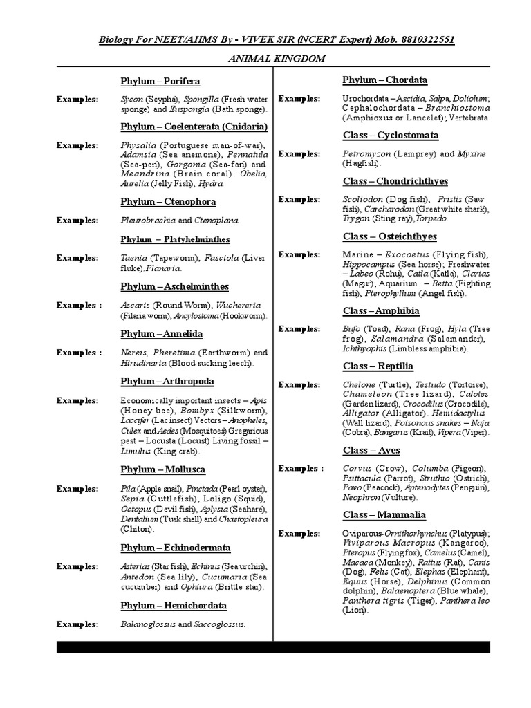 Animal K Chart | PDF | Taxa | Organisms