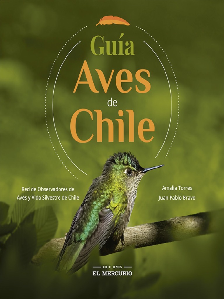 Guía Aves de Chile | PDF | Ingenieria Eléctrica