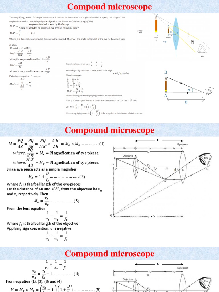 Lecture 8 | PDF | Angular Resolution | Microscopy