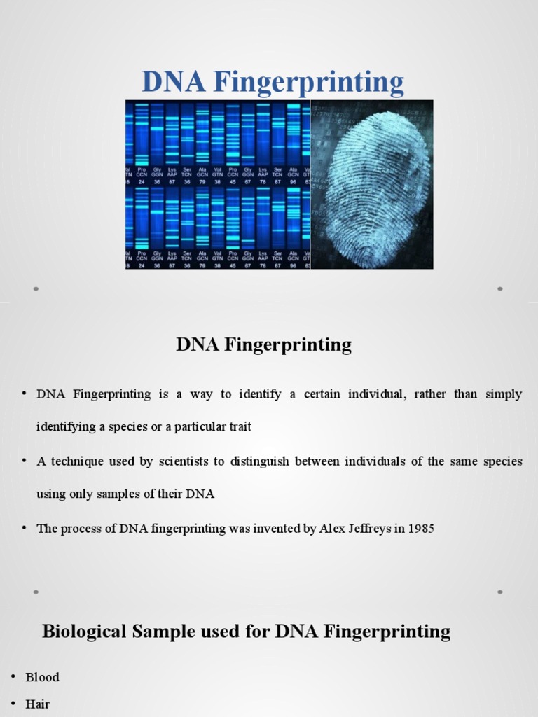 DNA Finger Printing | PDF | Gel Electrophoresis | Dna
