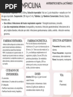 Prospecto DIGERIL | PDF