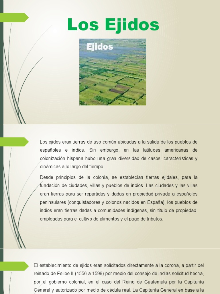 Definición y Funciones de los Ejidos | PDF | Reforma agraria | Nueva españa