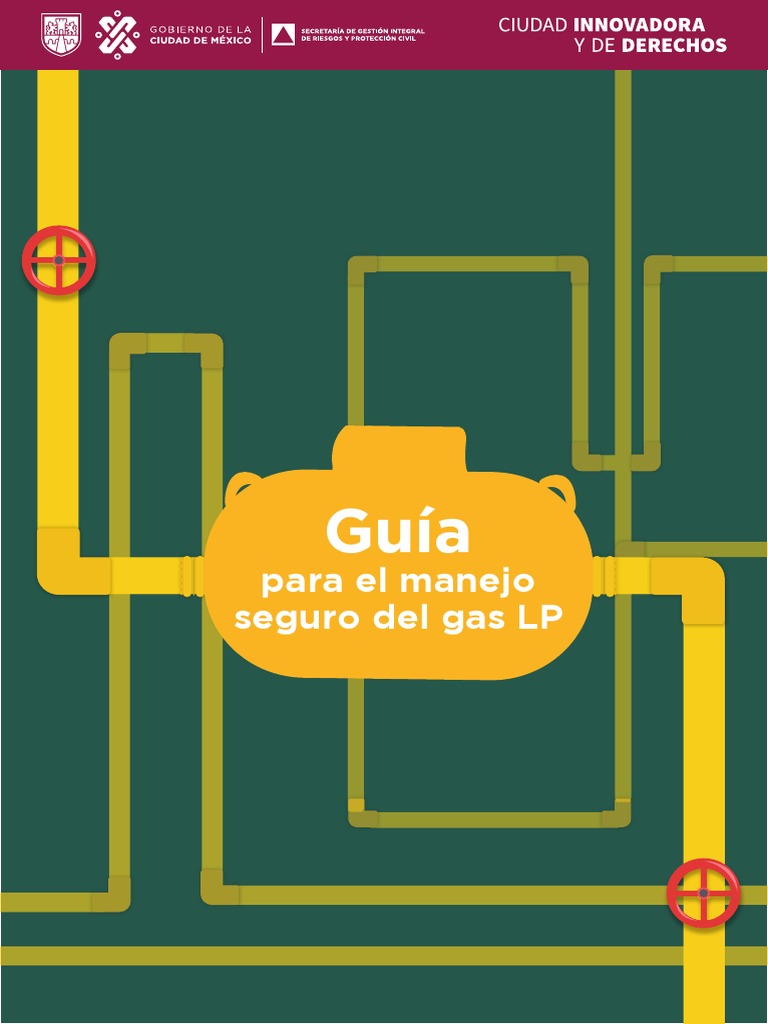 Guía Segura para Uso de Gas LP | PDF | Combustión | Gases