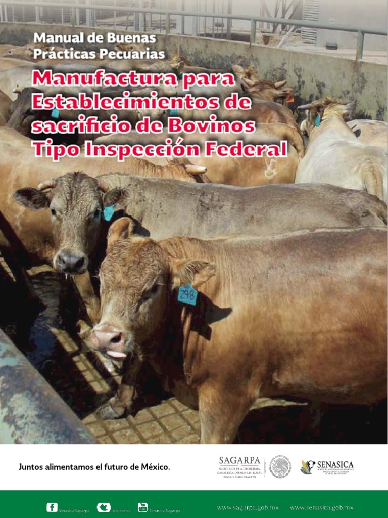Buenas Practicas Pecuarias y de Manufactura para Establecimientos de Sacrificio de Bovinos Tipo ...