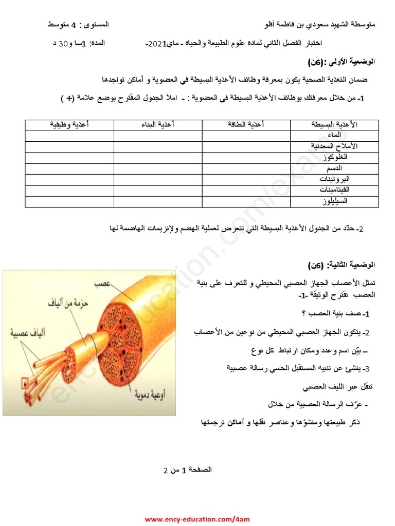 Dzexams 4am Sciences 1540372 | PDF