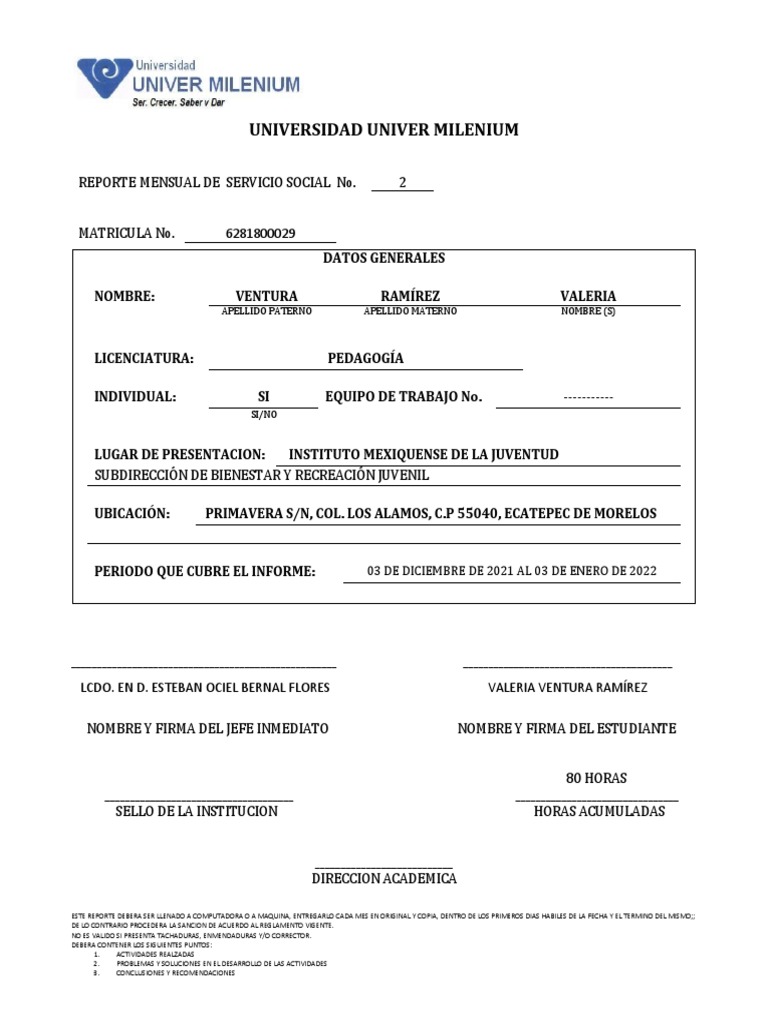 Reporte Mensual 2 | PDF