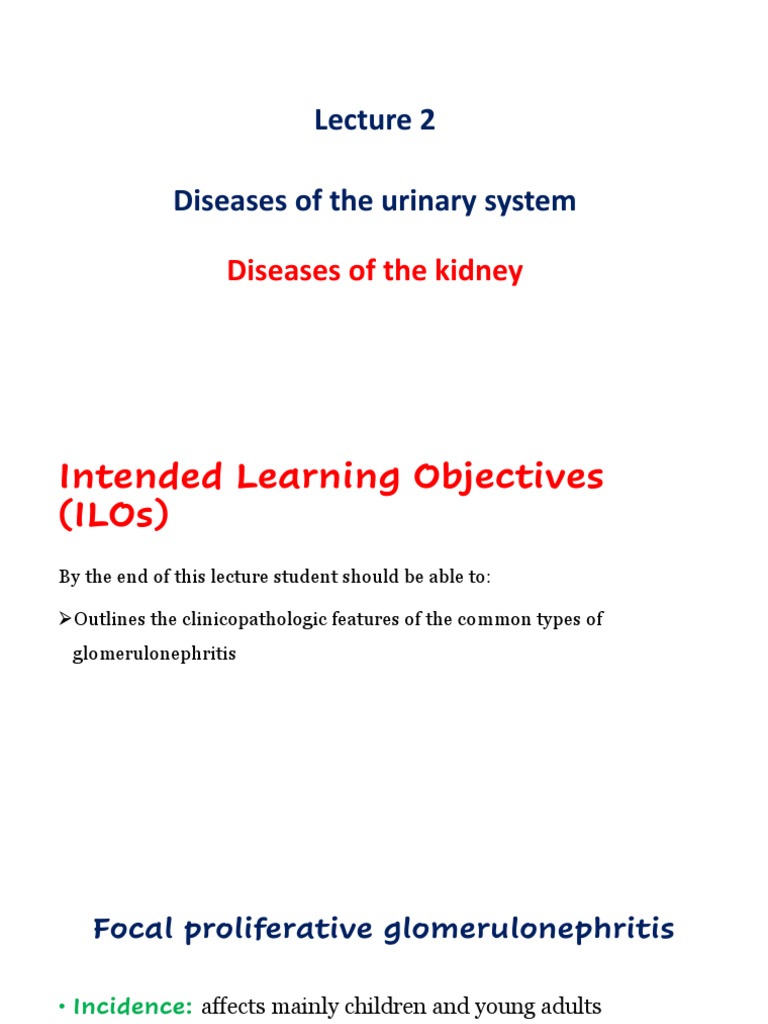Urinary System Diseases Overview | PDF | Endocrine System | Kidney