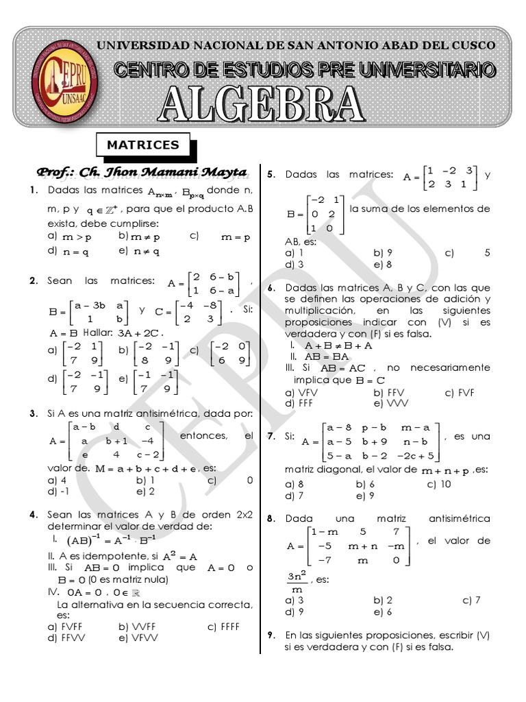 MATRICES Ejercicios | PDF | Matriz (Matemáticas) | Física teórica