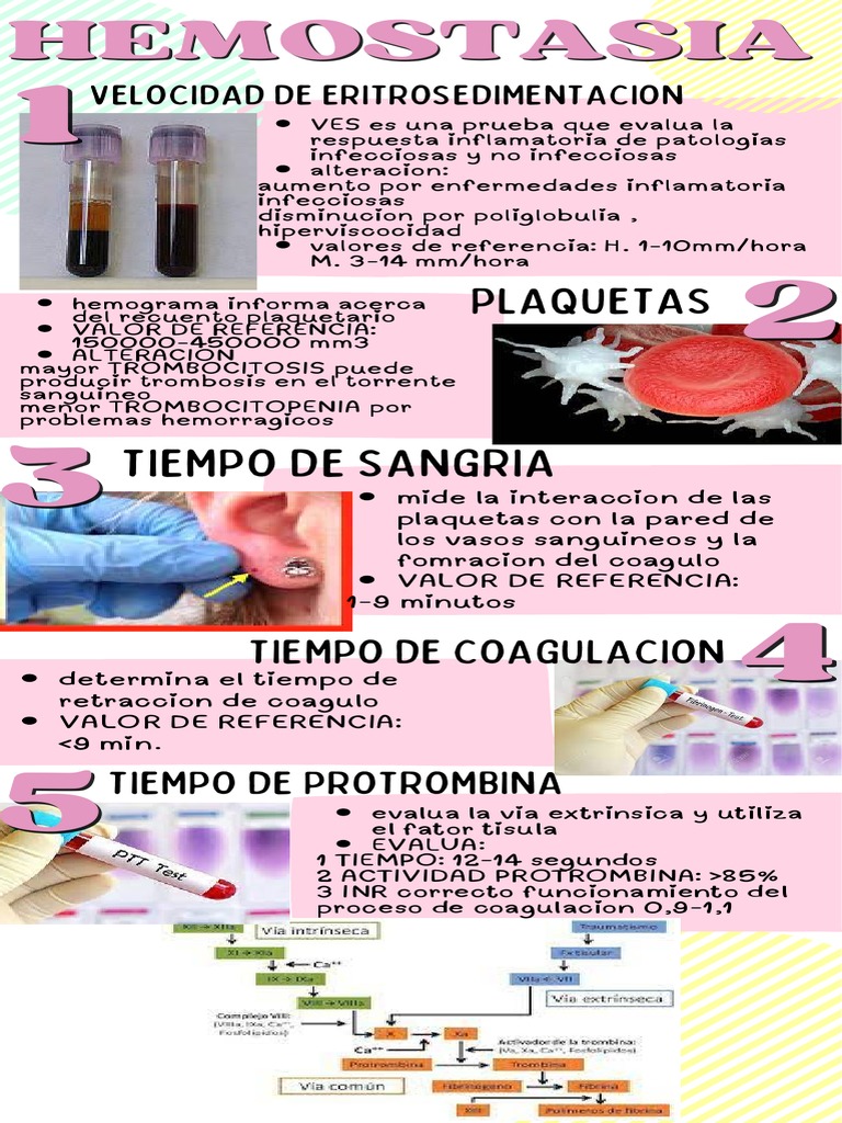 Coagulograma: Qué Es, Para Qué Sirve Y Cómo Se Hace – KOAUJQ