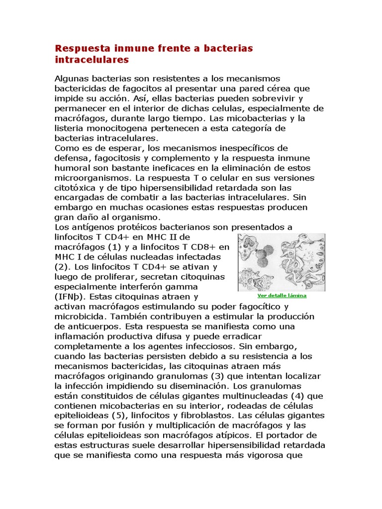 Respuesta Inmune Frente A Bacterias Intracelulares | PDF | Sistema inmune | Citocina