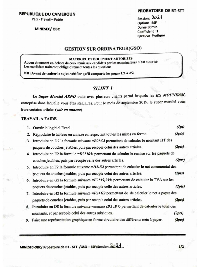 Epreuve de Gestion Sur Ordinatruergso Probatoire de BT STT Specialite ...