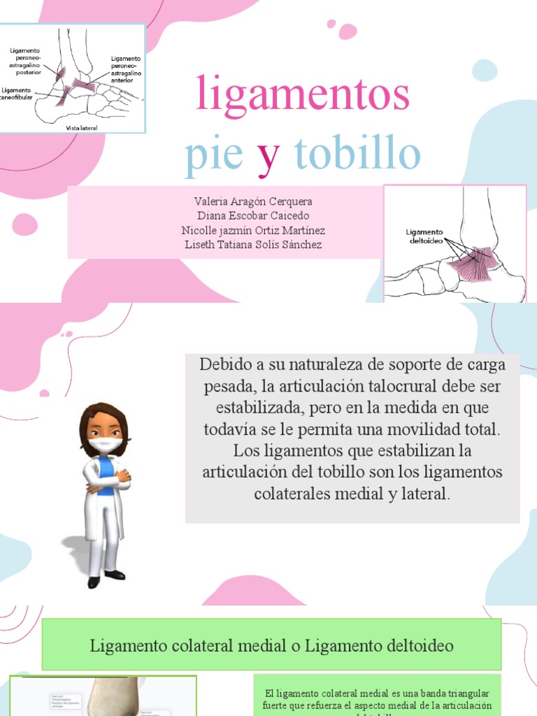 Diapositivas de Ligamentos Del Pie | PDF | Tobillo | Pie