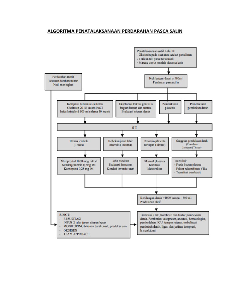 Algoritma Penatalaksanaan Perdarahan Pasca Salin | PDF
