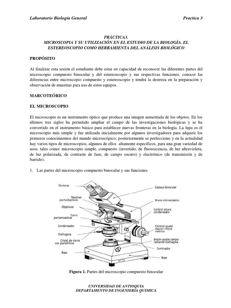 Práctica # 2 Microscopia I | PDF | Microscopio | Óptica