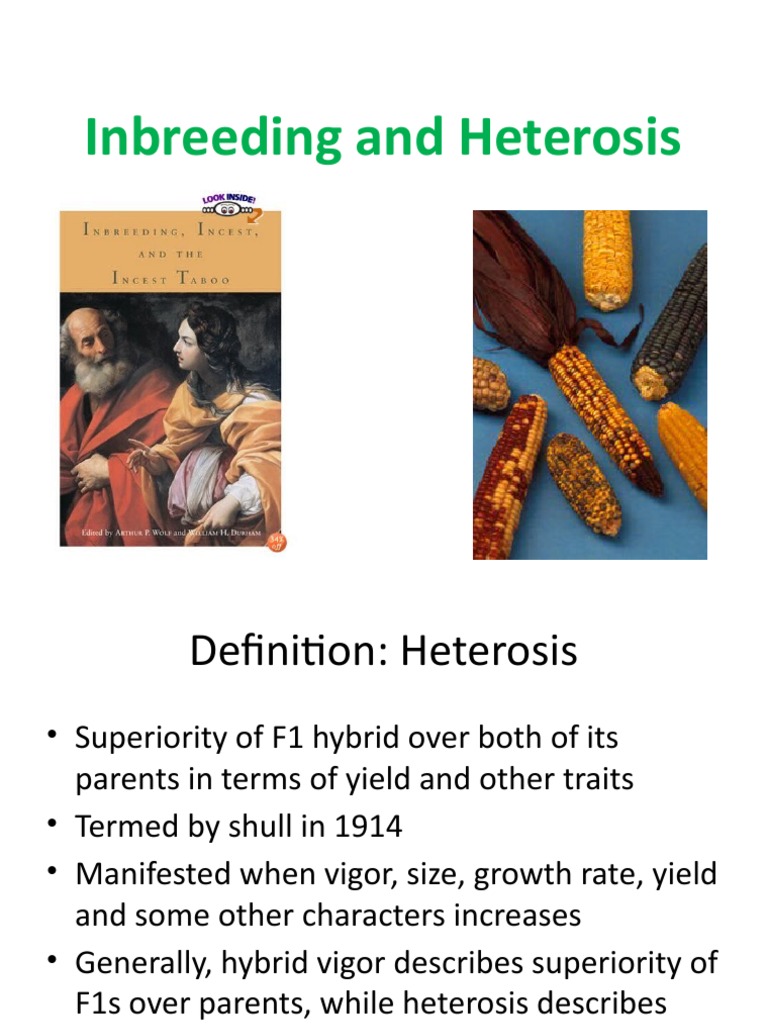 Heterosis and Inbreeding | PDF | Zygosity | Inbreeding