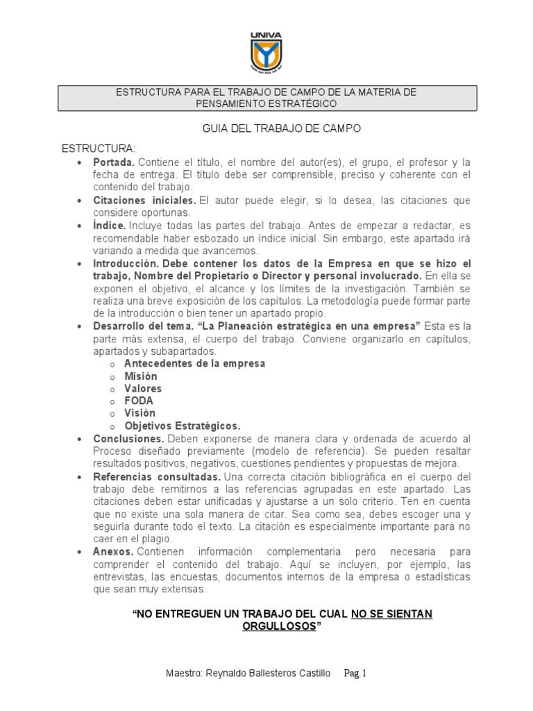 Estructura Trabajo de Campo | PDF