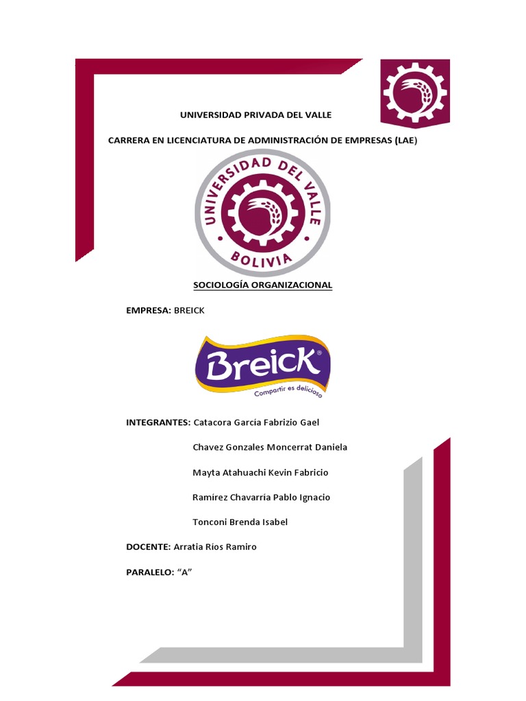 Breick - Trabajo Grupal | PDF | Marketing | Marca