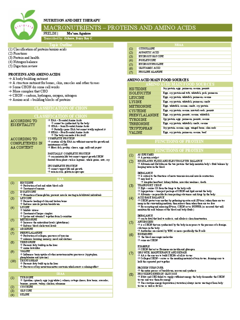 Macronutrients Protein and Amino Acids | PDF | Amino Acid | Proteins