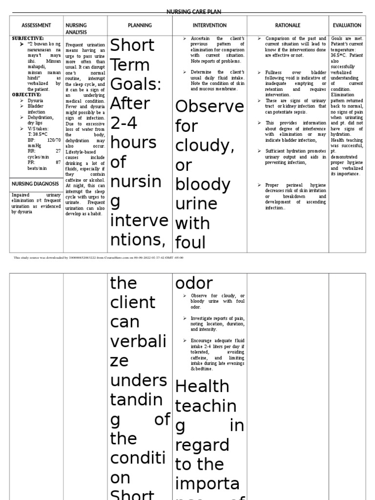 NURSING CARE PLAN Urinary Incontinence | PDF | Urinary Bladder | Urine