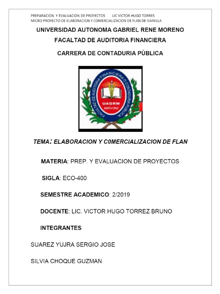 Micro Proyecto Flan | PDF